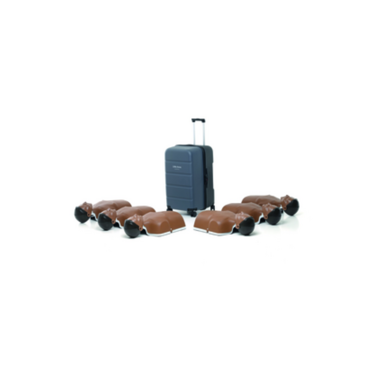 Little Anne Stackable Dark 6-pack – The Lifeguard Store